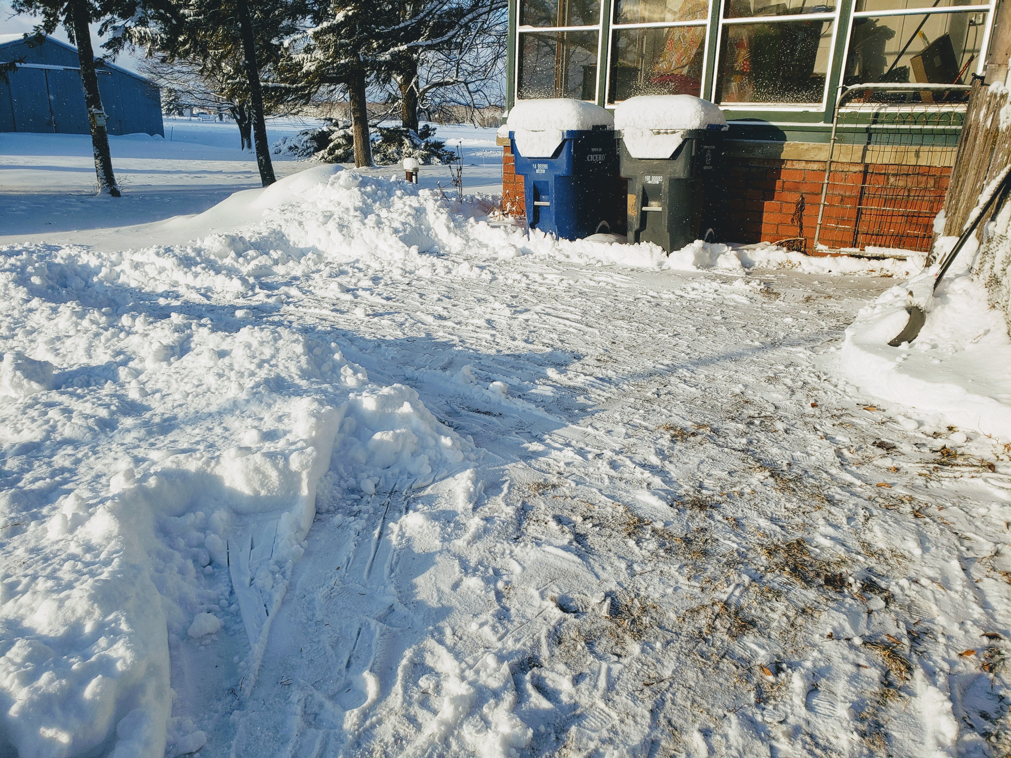 Six Inches Of Snow Susan Manzke