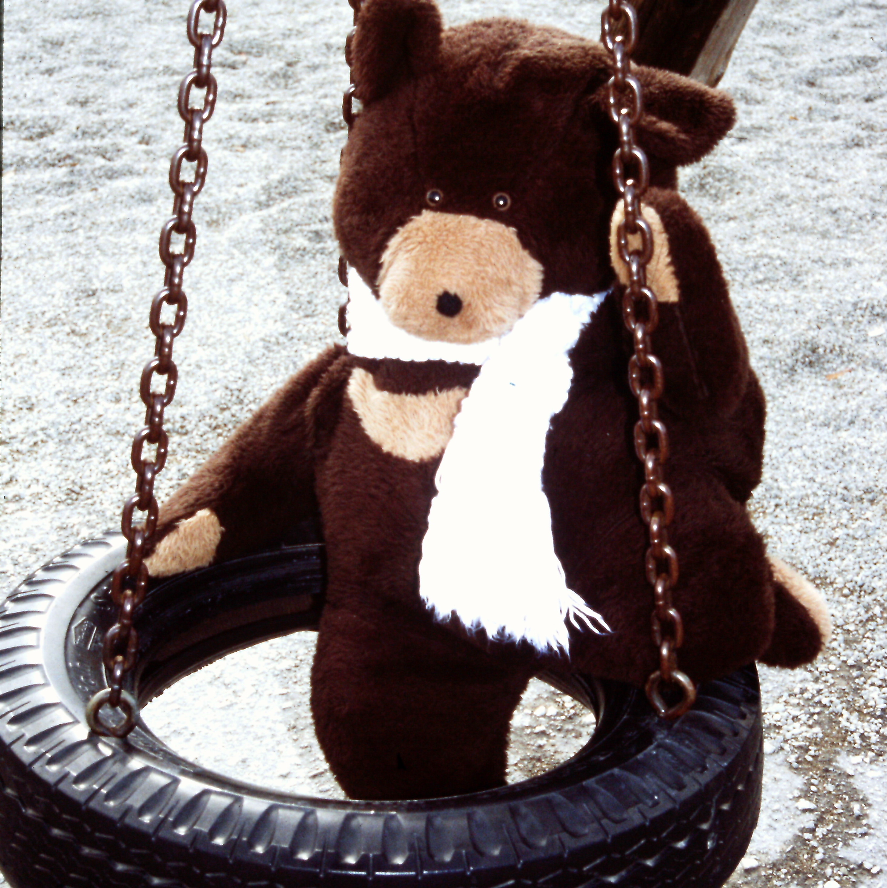 National Bring Your Teddy Bear to Work/School Day | Susan Manzke