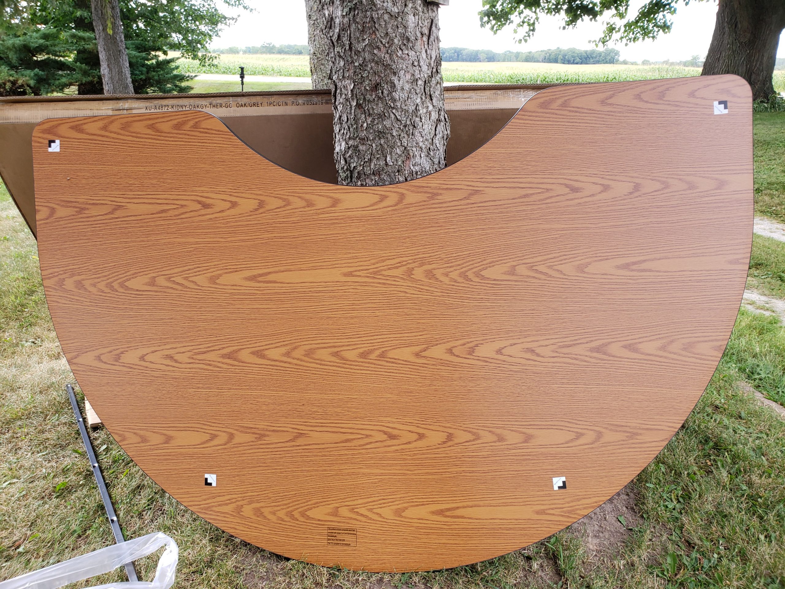 The sad saga of the picnic table | Susan Manzke